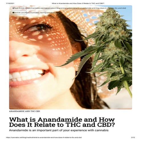 Cannabinoids | PPTX