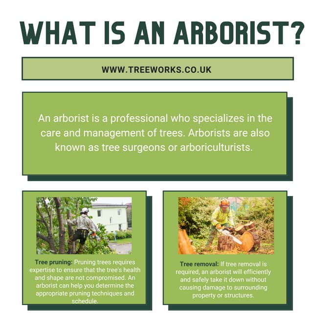 The Benefits of Regular Tree Inspections and Reporting Preserving Trees ...