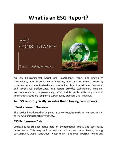 Illuminating ESG Risk Assessment for Success | PPT
