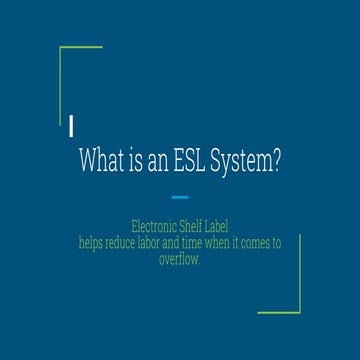 What is an ESL System_.pptx