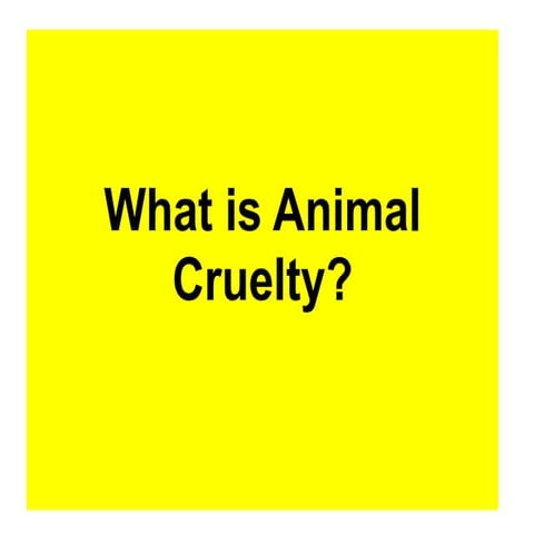 Animal cruelty | PPTX