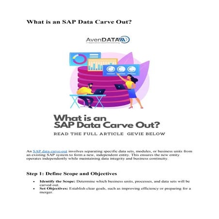 Understanding SAP Carve Out: Definition and Key Concepts | PDF
