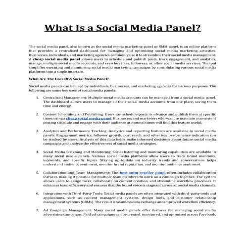 What Is a Social Media Panel_.docx