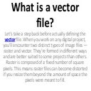 What is a vector file? | PPT