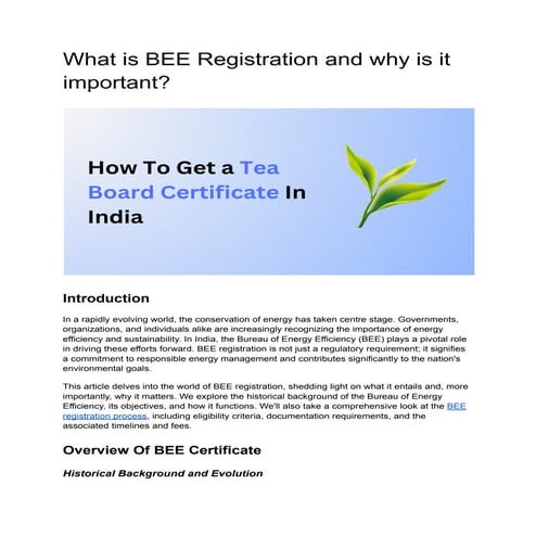 What is BEE Registration and why is it important.pdf