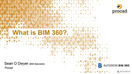 BIM 360 Design Collaboration: An In-depth Guide for 2024 | PDF