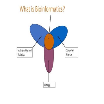 What is Bioinformatics.pdf