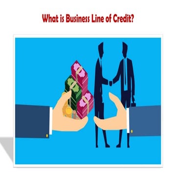What is Business Line of Credit? | PDF