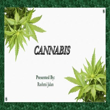 Cannabis | PPTX