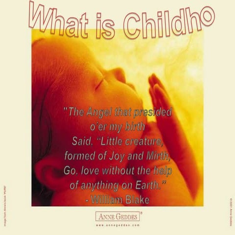 What Is Childhood | PPSX