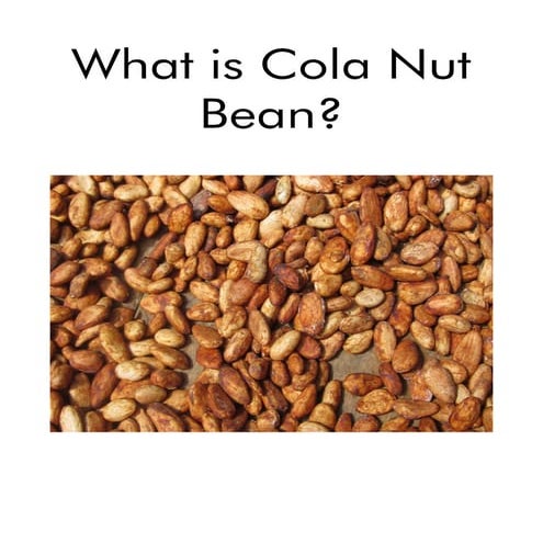What is Cola Nut Bean!.pdf