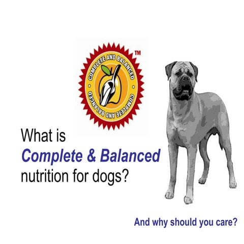 What Is Complete And Balanced Nutrition For Dogs | PPS