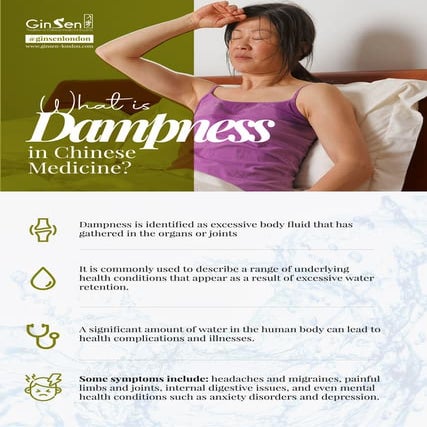 What is Dampness in Chinese Medicine | PDF | Alternative Medicine | Wellness