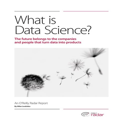What is data_science | PDF | Search | Internet