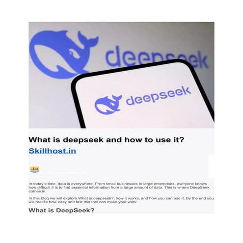 What is deepseek and how to use it know on skillhost | DOCX