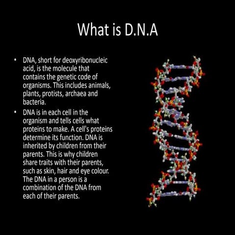 What is dna | PPT