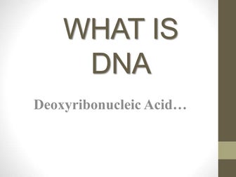DNA-Structure PPT.ppt