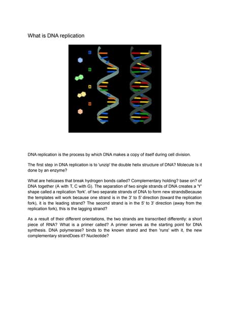 Before Cell Division Dna Replication Why Do Cells Need ATP? – Role