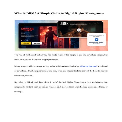 What is DRM_ The Ultimate Guide to Digital Rights Management.pdf