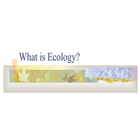 What is ecology | PPT