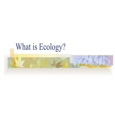 What is ecology | PPT