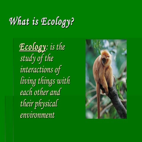 Introduction To Ecology | PPT
