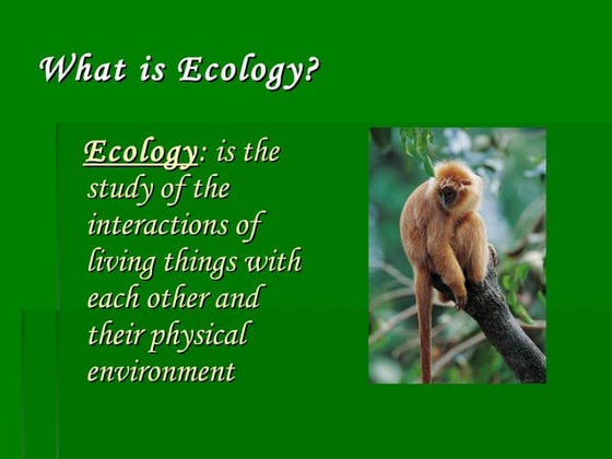 Introduction To Ecology | PPT
