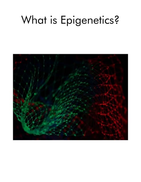 Introduction to Epigenetics | PPT