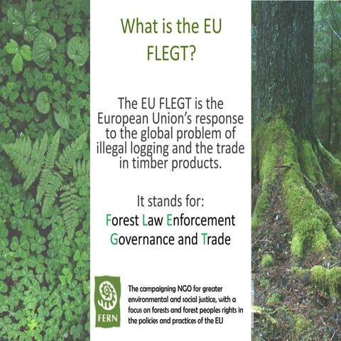 What is eu flegt | PPT
