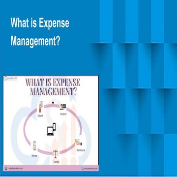 What is expense management | PDF