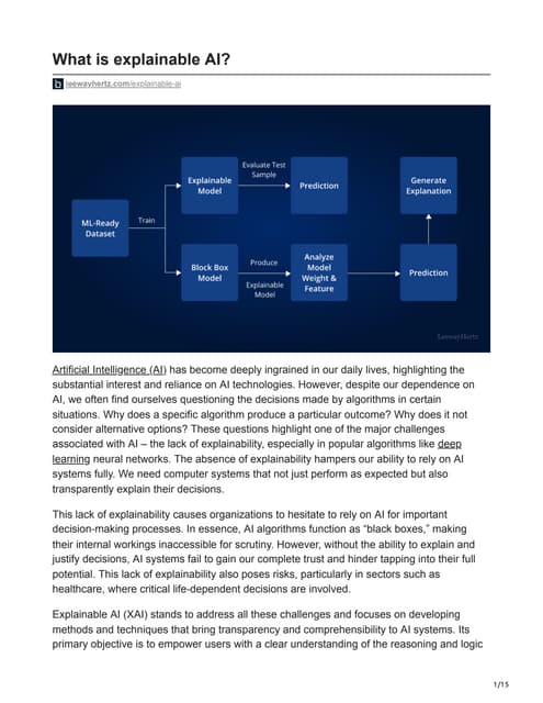 Explainable AI | PDF