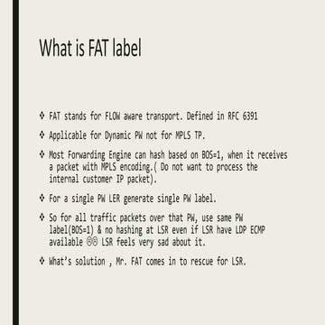 FAT label : RFC 6391 | PPT