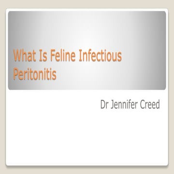 What Is Feline Infectious Peritonitis? | PPTX
