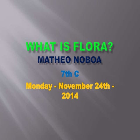 What is flora | PPTX