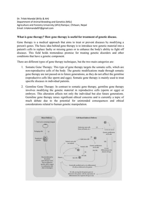 LAYOUT DESIGN OF SLAUGHTER HOUSE.pptx | Indoor Environmental Quality ...