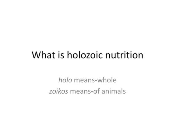 5 Holozoic Nutrition Steps: Holozoic Nutrition in Amoeba | PDF ...