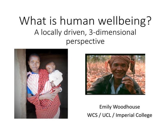 Year 10 Geographies of Human Wellbeing | PPTX