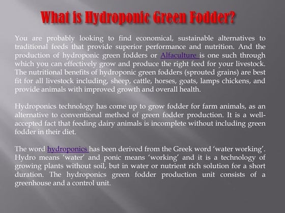 Hydroponic fodder horses | PPT