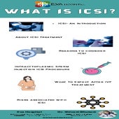 What is icsi | PDF