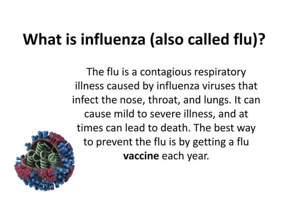 Cold and Flu Season | PPTX | Cold and Flu | Diseases and Conditions