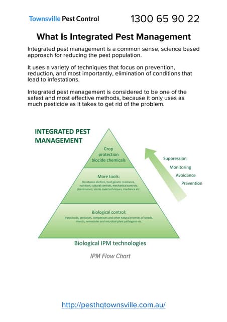 IPM In Schools by Invader Pest Management | PPT