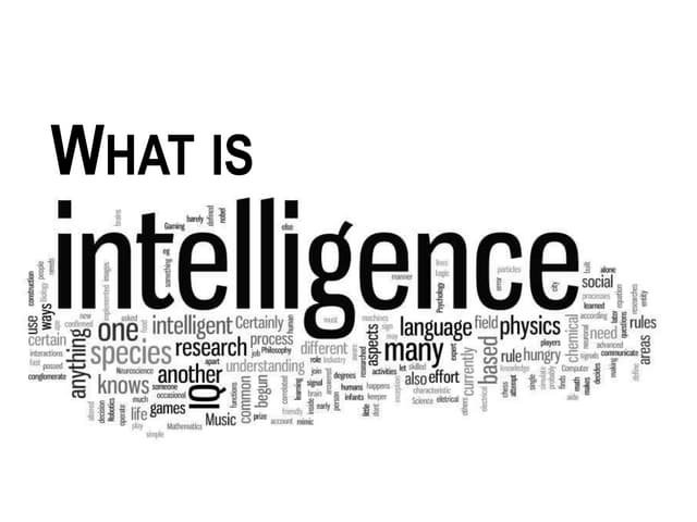 What is intelligence PPT