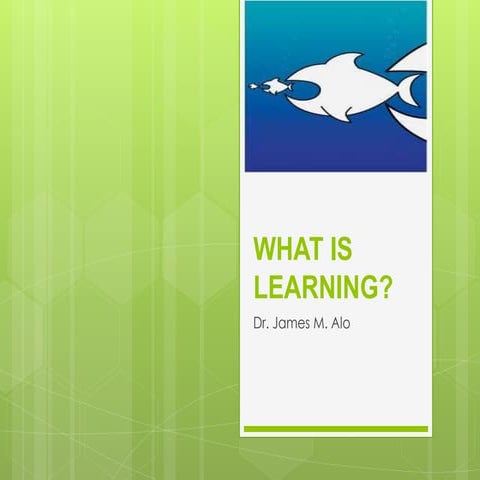 What is learning | PPSX