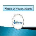 What is LV Vector Systems.pptx