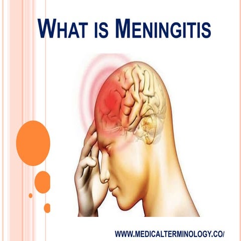 What is meningitis | PPTX