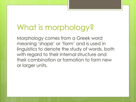 Morphology.pptx