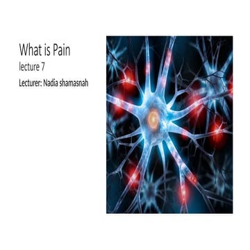 What is Pain lecture 7 for nursing students | PPT