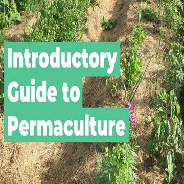 What is permaculture | PPTX