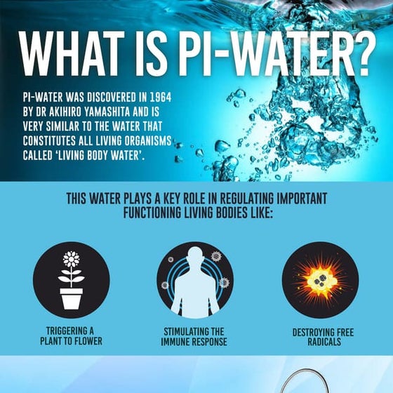 How to Use the HomePure Eaze Water Filter | PDF