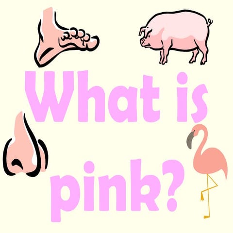 What is pink | PPT